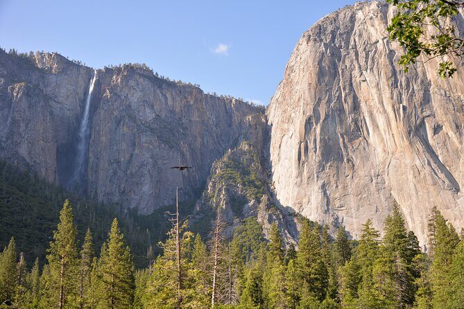2 Day Private Tour to Yosemite National Park - Logistics and Value: What Travelers Should Know