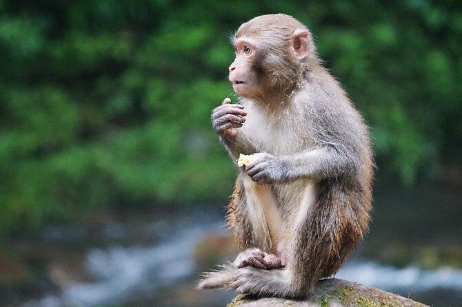 2-Day Private Tour to Zhangjiajie from Shanghai by Air with Accommodation - An In-Depth Look at the Tour