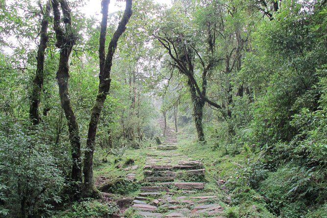 2-Day Private Trekking Tour to Australian Camp & Dhampus - FAQs