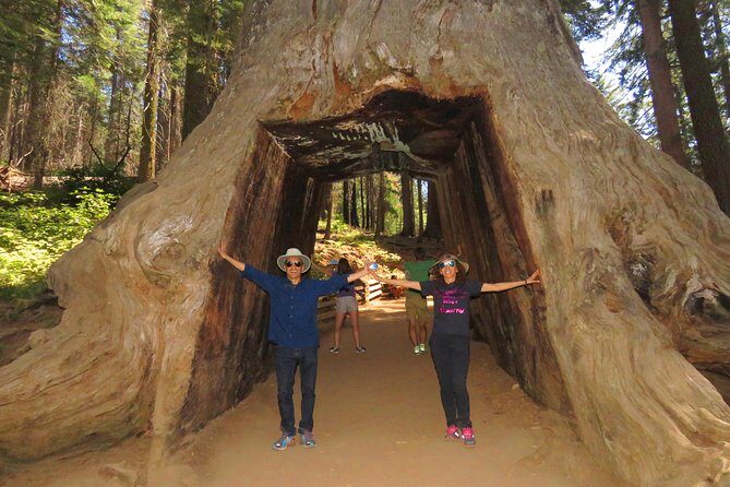 2-Day Private Yosemite Tour: Waterfalls, Sequoias and Glacier Pt - Accommodations and Park Fees