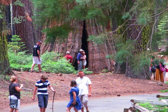 2-Day Private Yosemite Tour: Waterfalls, Sequoias and Glacier Pt - Authentic Experiences from Past Travelers
