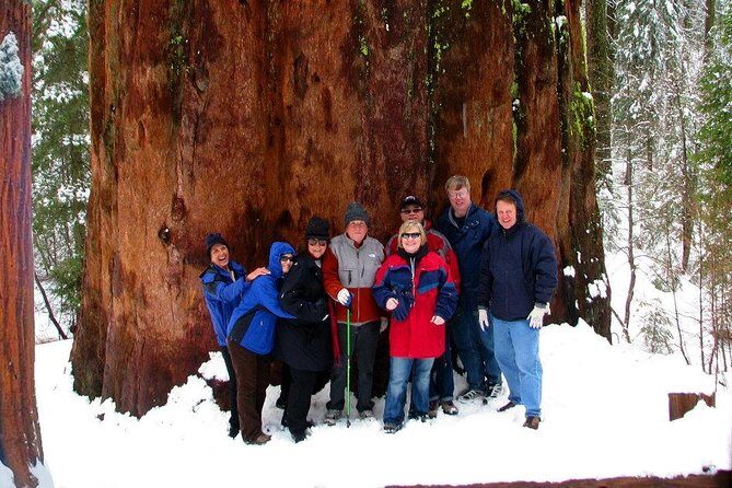 2-Day Private Yosemite Tour: Waterfalls, Sequoias and Glacier Pt - Who Is This Tour Best For?