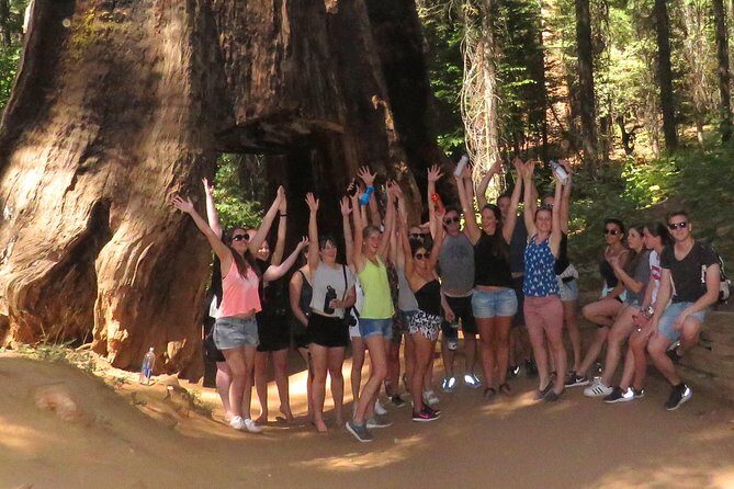 2-Day Private Yosemite Tour: Waterfalls, Sequoias and Glacier Pt - Final Verdict