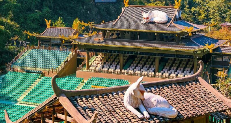 2-Day Private Zhangjiajie Tour Avatar Mountain, Glass Bridge - The Sum Up