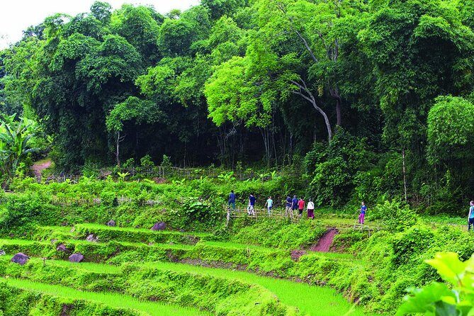 2-day Pu Luong Natural Reserve from Hanoi - Who Would Love This Tour?