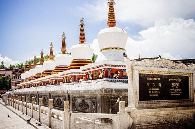 2-Day Qinghai Lake and Ta'er Monastery Private Trip from Xian by Bullet Train - Key Points