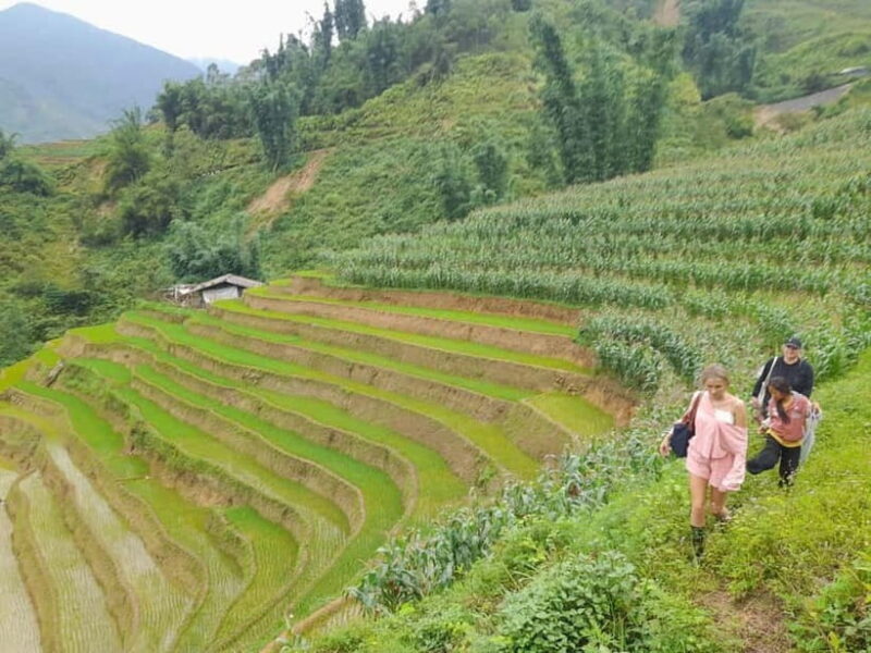 2-Day Sa Pa Ethnic Homestay Tour & Trek with Limousine Bus - Final Thoughts