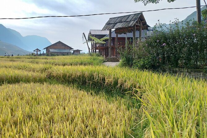 2-Day Sapa Guided Tour Slipping in Homestay From Hanoi - What’s Included and What to Consider