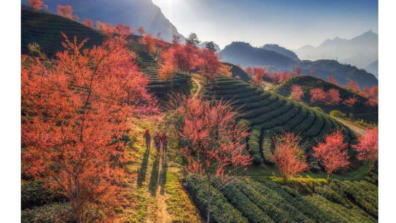 2-Day Sapa Tour from Hanoi with Homestay and Meals Included - A Practical Breakdown of the Sapa 2-Day Tour