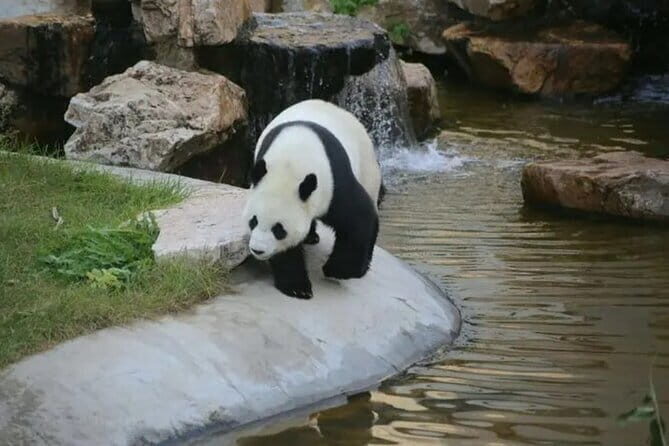 2-Day Shenyang City Private Tour in Your Way - Practical Details & Tips