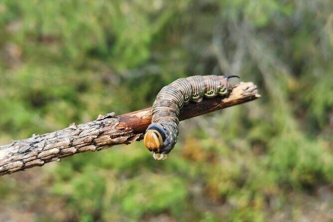 2-Day Small-Group Basic Skills Survival Course in Södermanland - The Sum Up