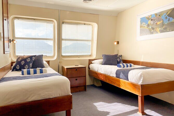 2-Day Snorkelling Experience - Great Barrier Reef Twin Share - The Value Proposition