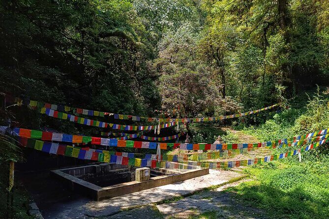 2-Day Sunrise Trek in Shivapuri Chisapani from Kathmandu - An In-depth Look at the Trek Experience