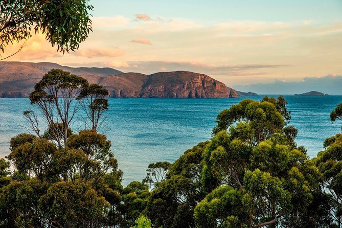 2 Day Tasmanian Highlights Tour - Bruny Island & Port Arthur - FAQs