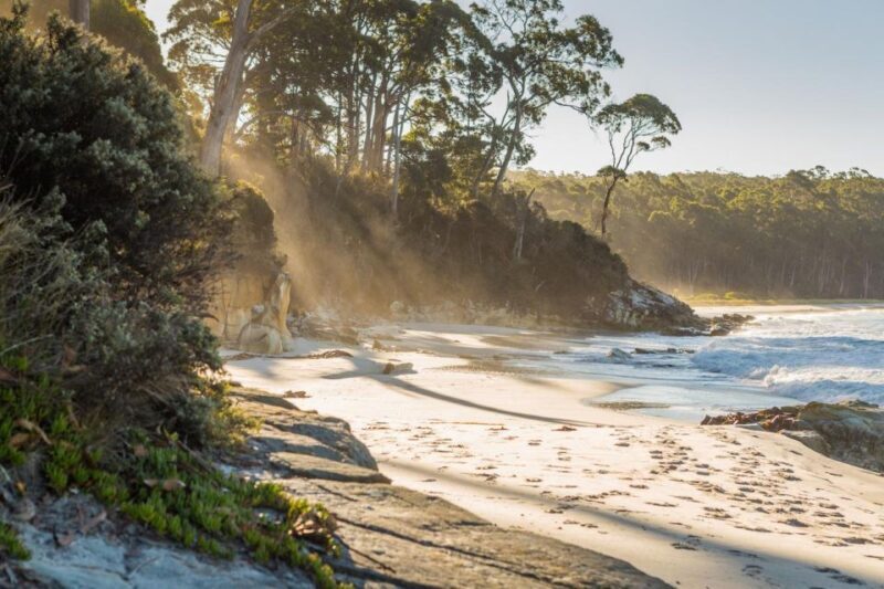 2 Day Tasmanian Highlights Tour - Bruny Island & Port Arthur - The Experience - In Detail