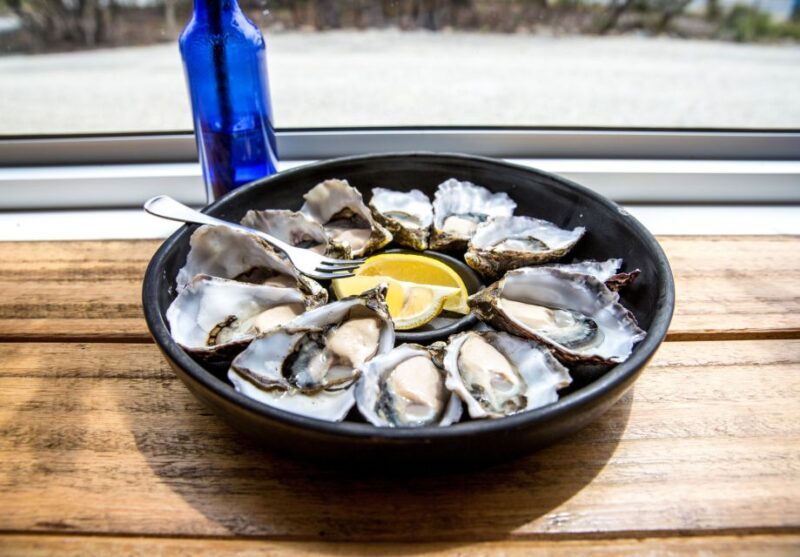 2 Day Tasmanian Highlights Tour - Bruny Island & Port Arthur - The Sum Up: Who Should Sign Up?