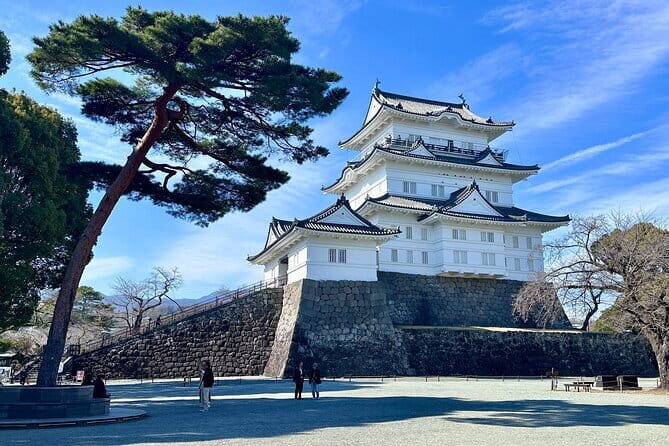 2 Day Tokyo Mt. Fuji Hakone Odawara castle Kamakura, Onsen Ryokan - Key Points