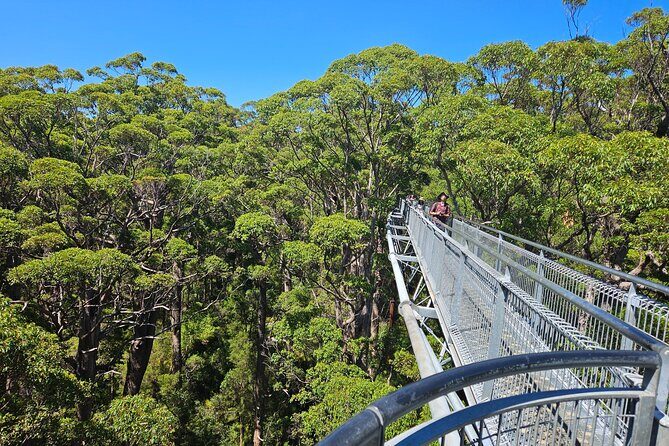 2 Day Tour Busselton Jetty, Ngilgi Cave to Valley of the Giants - Day 1: Coastal Beauty and Ancient Caves