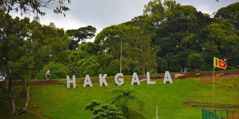 2 Day Tour From Kandy, Sigiriya & Nuwara Eliya - Practical Tips for Making the Most of Your Trip