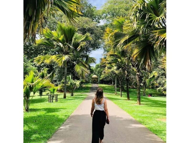 2 Day Tour: Kandy, Ambuluwawa and Sigiriya - Key Points