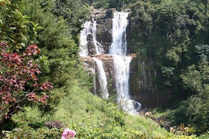 2 Day Tour of Yala & Ella with Hill Country Scenic Train Ride - All Inclusive - Frequently Asked Questions