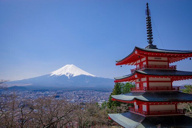 2-Day Tour-The Best of Japan - Who Is This Tour Best For?