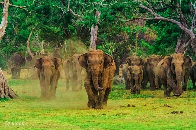 2 Day Tour to Galle & Udawalawe from Colombo - Who Will Benefit Most?