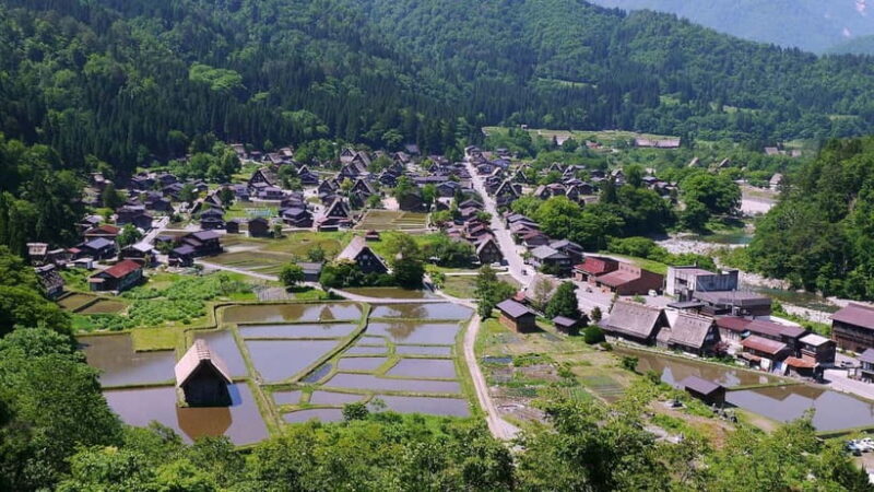 2-Day Tour to Matsumoto, Takayama & Kanazawa - An In-Depth Look at the Tour Experience