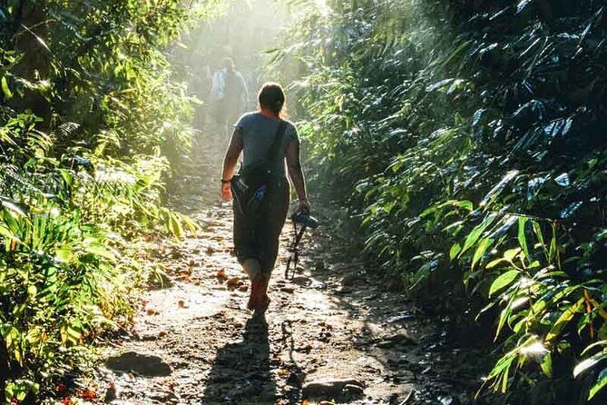 2 Day Tour To Sinharaja Rain Forest & Udawalawa From Galle - Who Should Book This Tour?