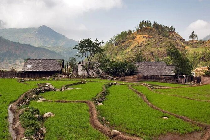 2-Day Trekking Adventure of Sapa from Hanoi with Night Bus - FAQ