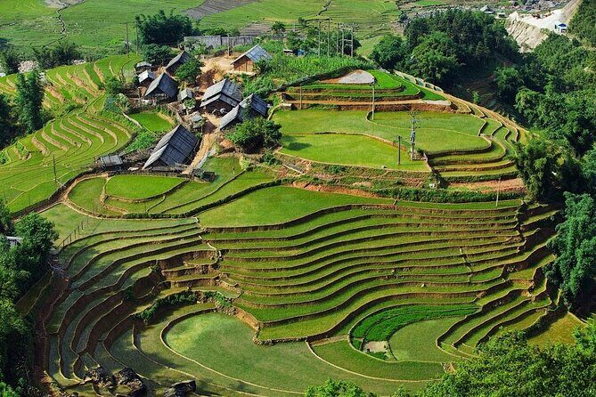 2-Day Trekking Adventure of Sapa from Hanoi with Night Bus - Day 1: Trekking Through Rice Terraces & Village Life