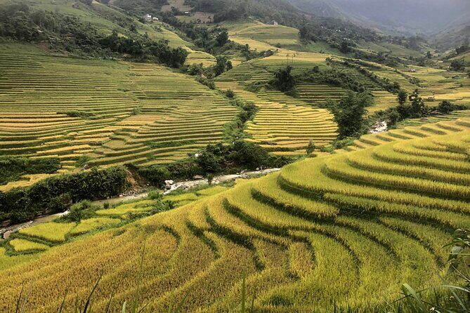 2 Day Trekking Experience: Explore with knowledgeable local guide - A Genuine Look at the 2-Day Sapa Trekking Tour