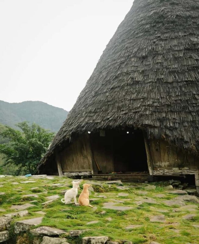 2 Day Trip Wae Rebo Village Above The Clouds - Final Thoughts: Is Wae Rebo Worth It?