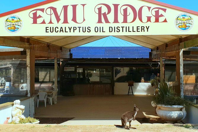 2 day Ultimate Kangaroo Island with return ferry - Raptor Domain: A Bird of Prey Spectacle