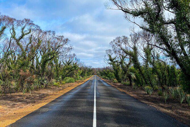 2 day Ultimate Kangaroo Island with return ferry - Clifford’s Honey Farm: Sweet Discoveries