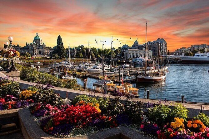 2-Day Victoria Vancouver Island Tour (Chn&Eng) - A Detailed Look at the 2-Day Vancouver Island Tour