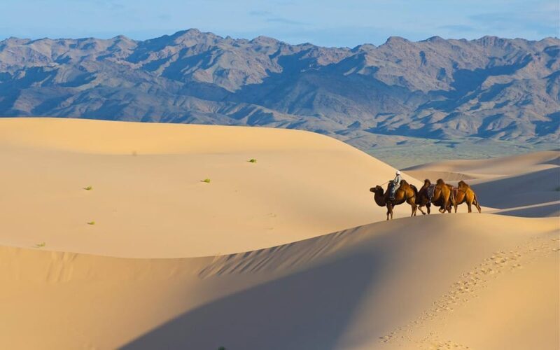 2 Day / Visit Khar kharom and Elsen tasarkhai sand dune - Key Points