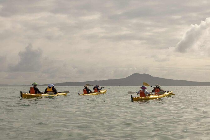 2-Day Waiheke Island Sea Kayak Tour - FAQ