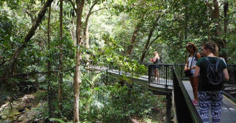 2-Day Waterfall and Daintree Tour - Who Should Consider This Tour