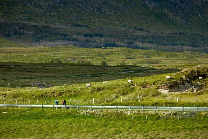 2-Day Western Ireland Tour from Dublin:Including Galway and Cliffs of Moher - Final Thoughts