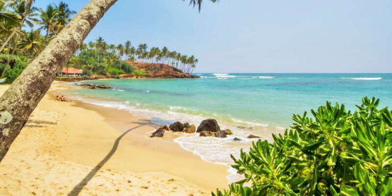 2-Day Whale Watching & Southern Sri Lanka Tour - Authentic Experience Highlights