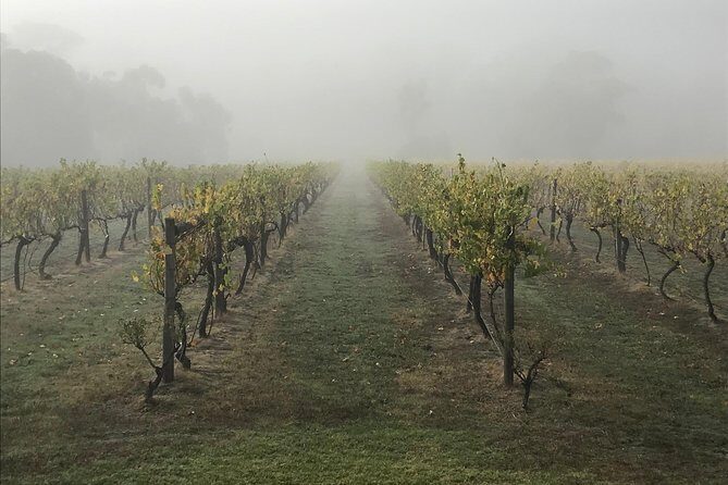 2-Day Yarra Valley Wine Tour with Luxury Vineyard Resort Stay - Authentic Experiences and Real Traveler Insights