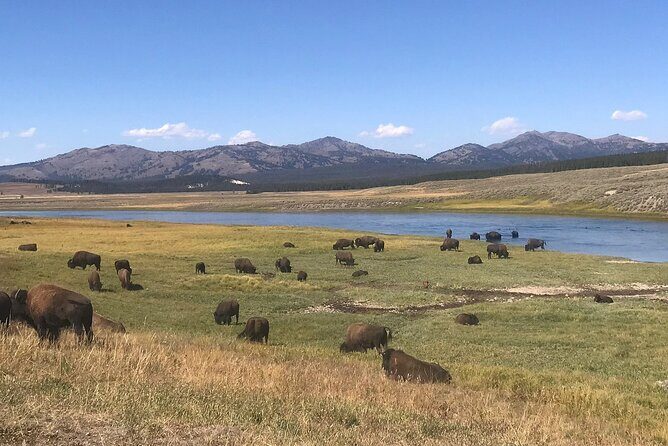 2-Day Yellowstone National Park Upper and Lower Loop Exploration - FAQ