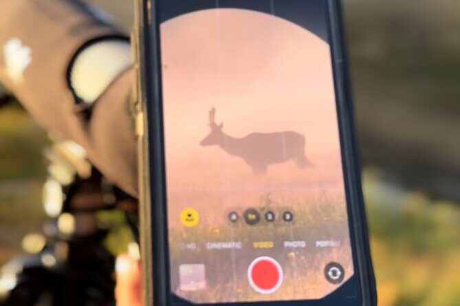 2 Day Yellowstone Safari Upper and Lower Loop Bozeman - Key Points