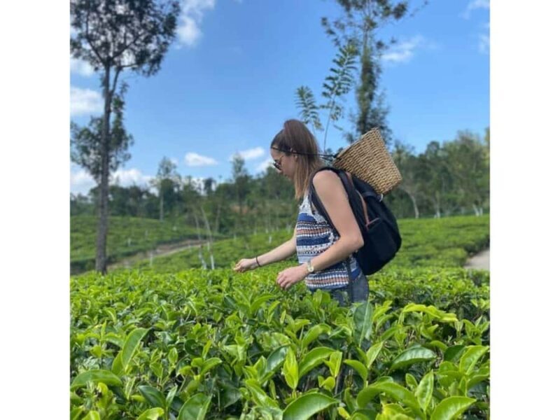 2 Day:Kandy, Ambuluwawa & Sigiriya Dambulla Guided Day Tours - Pricing & Value