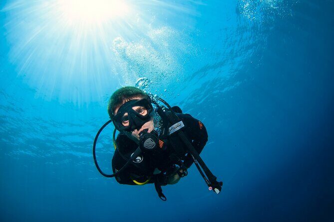 2 Days & 1 Night - 2 Dives in Lembongan/Penida (for certified divers) - Introduction