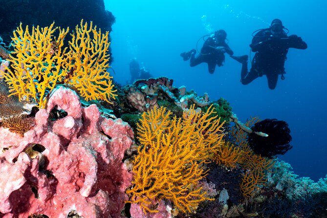 2 Days & 1 Night - 2 Dives in Lembongan/Penida (for certified divers) - Frequently Asked Questions