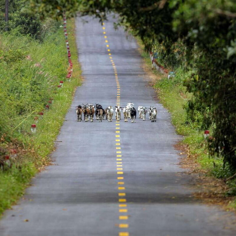2 Days 1 Night Adventure: Cat Ba National Park, Lan Ha Bay - What to Expect in Terms of Value and Comfort