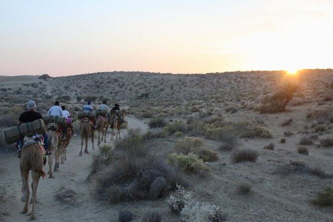 2 Days-1 Night Camel Tour - An In-Depth Look at the 2 Days-1 Night Camel Safari
