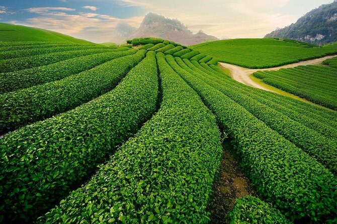 2 Days 1 Night in Mai Chau (Classic) - Introduction: A Genuine Taste of Northern Vietnam